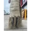 Sydney Taovala | Authentic Tongan Ta‘ovala & Cultural Accessories ...